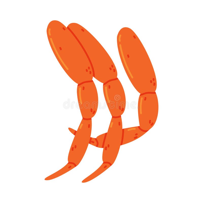 Crab Legs As Crustacean Seafood And Fresh Sea Product Vector Illustration Stock Vector