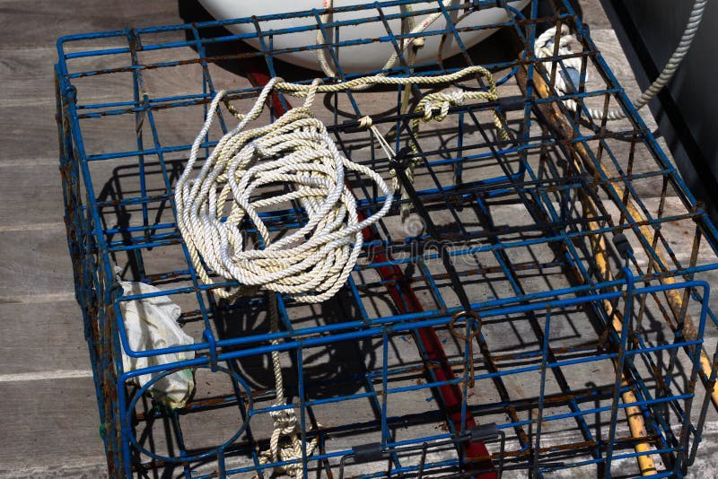 Crab Pot on a Marina Dock stock photo. Image of buoy - 333558968
