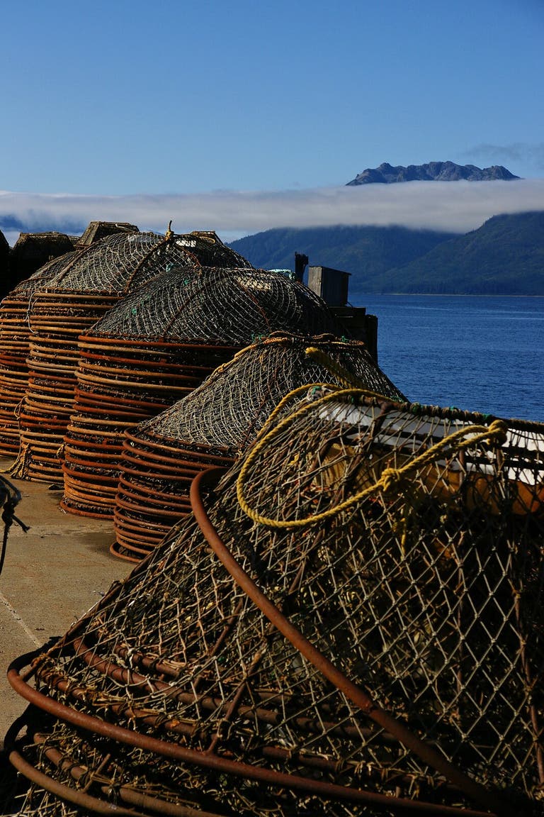 486 Point Crab Stock Photos - Free & Royalty-Free Stock Photos from ...