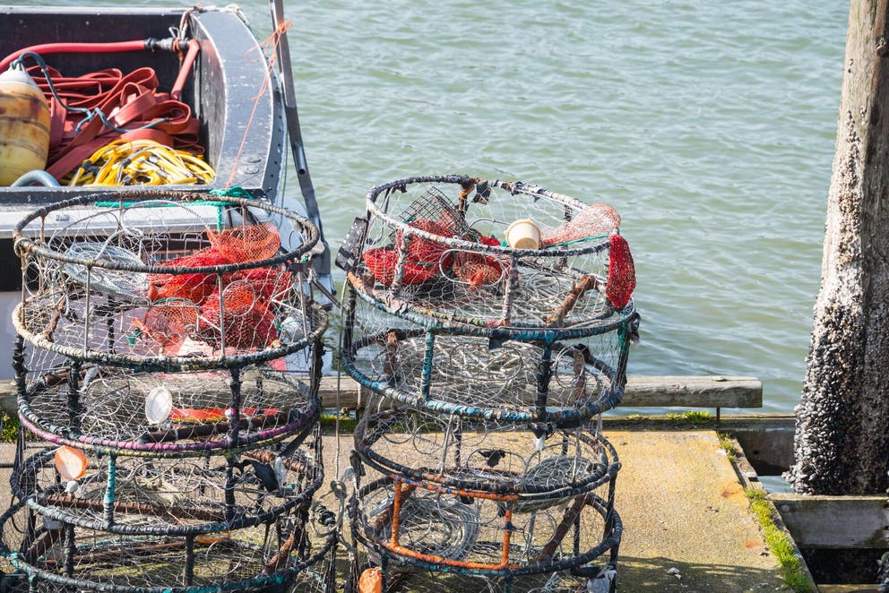 Crab Pots stock photo. Image of crustacean, copy, life - 39177934