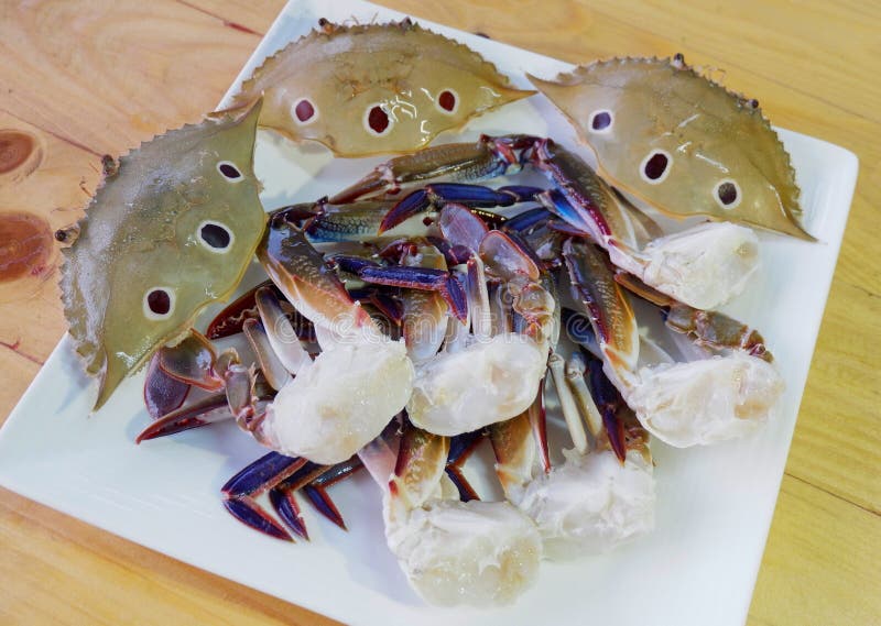 Crab raw stock photo. Image of claw, aquatic, nutrition - 93588332