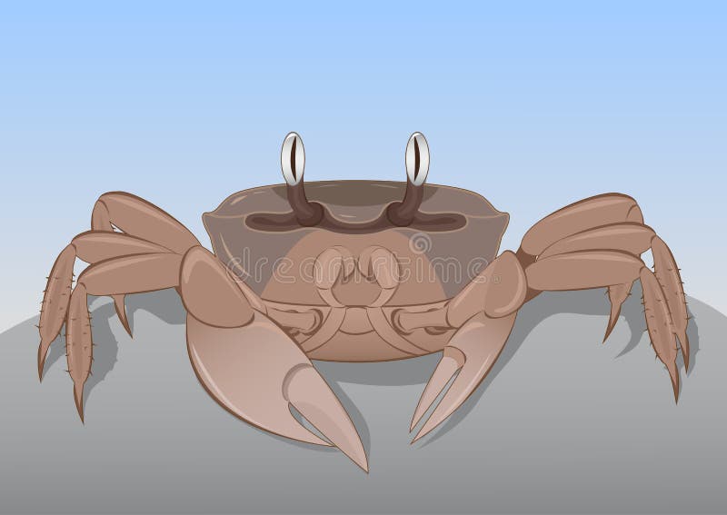 Crab and rock stock illustration. Illustration of kind - 100059205