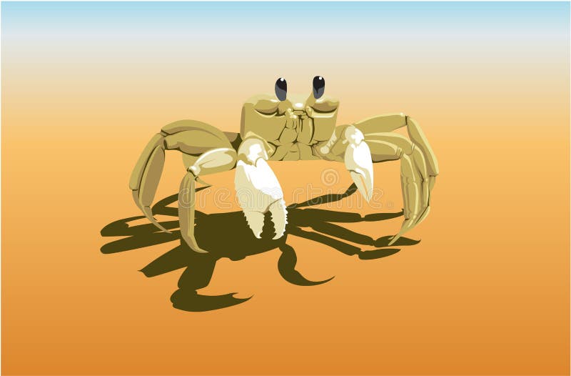 Sand Crab Stock Illustrations – 3,241 Sand Crab Stock Illustrations ...