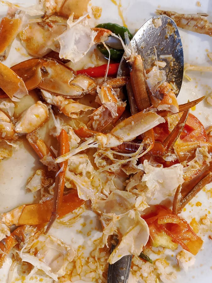 Crab Shell Seafood stock photo. Image of dessert, eating - 325169376