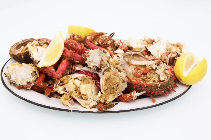 Crab and shellfish stock image. Image of crustaceans - 141779487