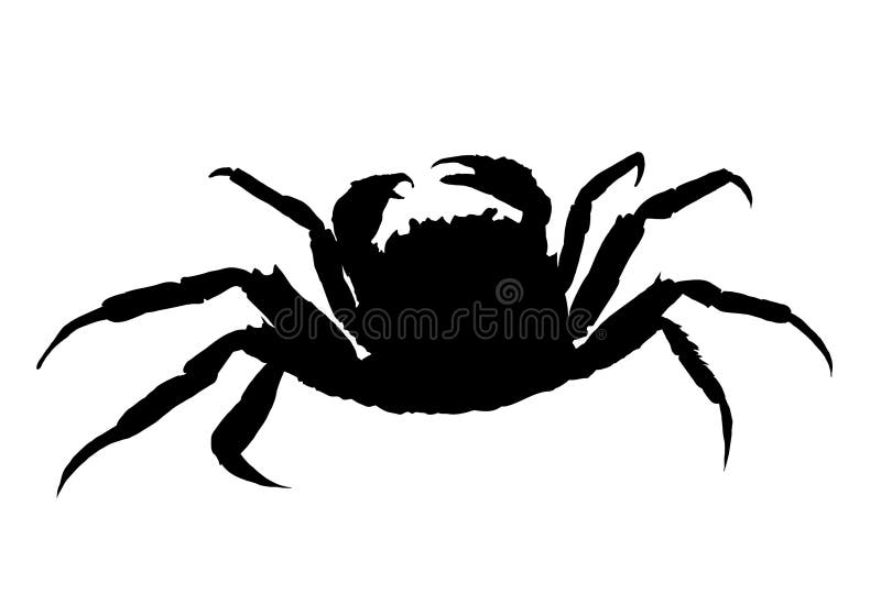 Crab Silhouette - Vector Illustration Stock Vector - Illustration of ...