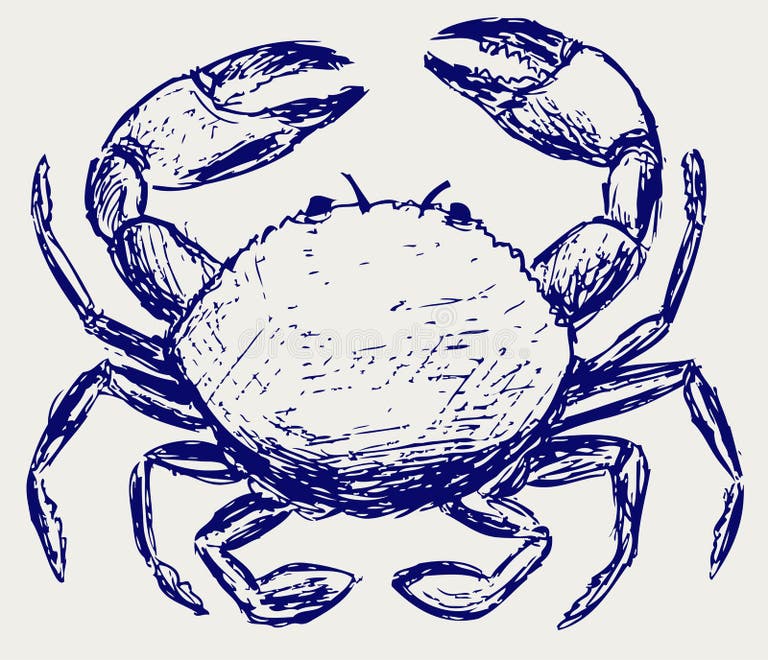 Crab Outline Stock Illustrations – 9,665 Crab Outline Stock ...