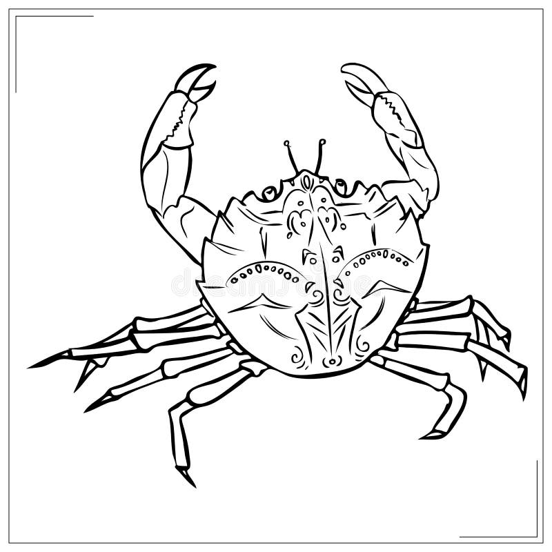 Crab Sketch - Coloring Page Stock Vector - Illustration of pages ...