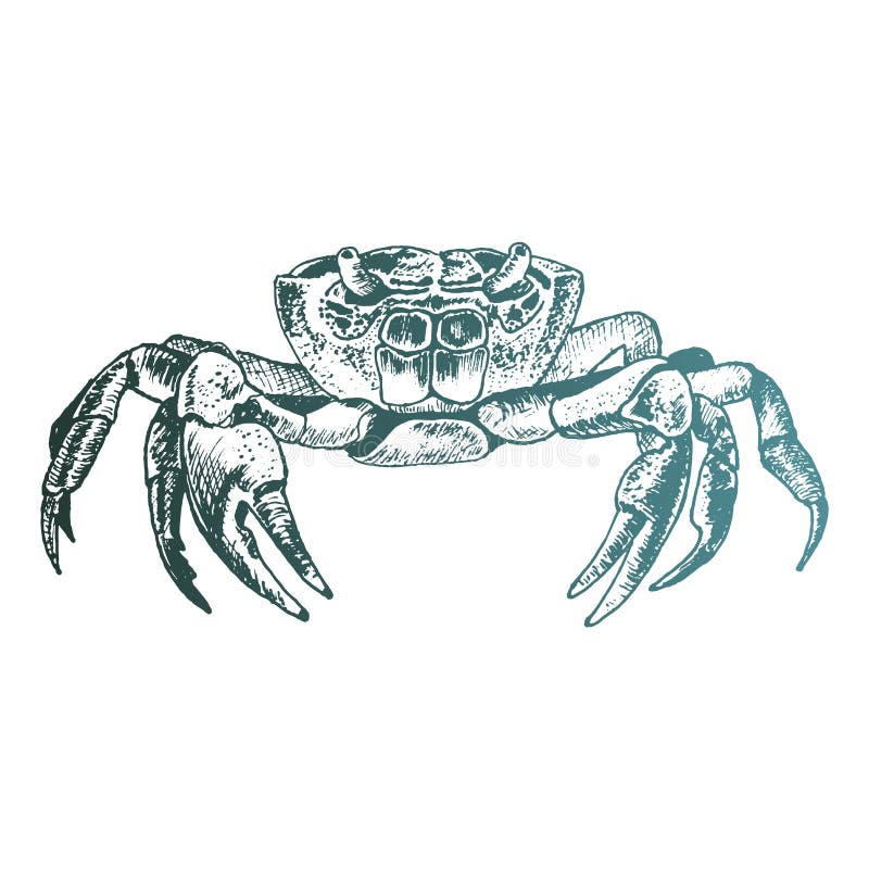 Scary Crab Stock Illustrations – 207 Scary Crab Stock Illustrations ...