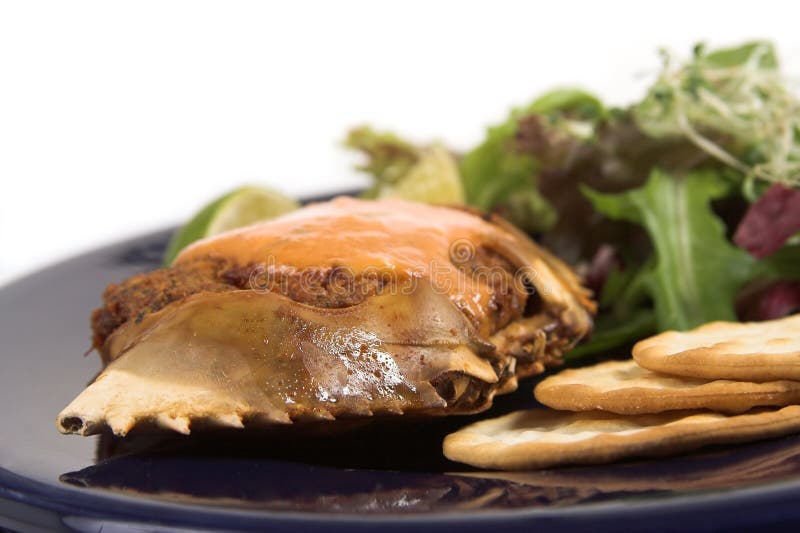 Crabe bourré photo stock. Image du poissons, crabe, côtier - 1118042