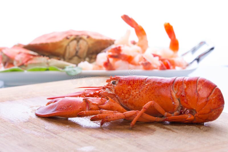 Crabe De Prepearing Dungeness Et Homard Rouge Image stock - Image du ...