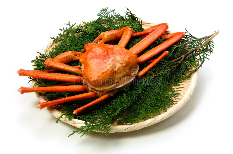 Crabe rouge de neige photo stock. Image du nourriture - 25042386