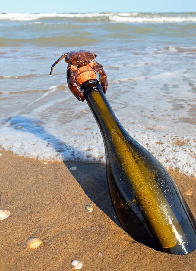 Crabs with Claws Protect the Bottle with the Secret Message Stock Image ...