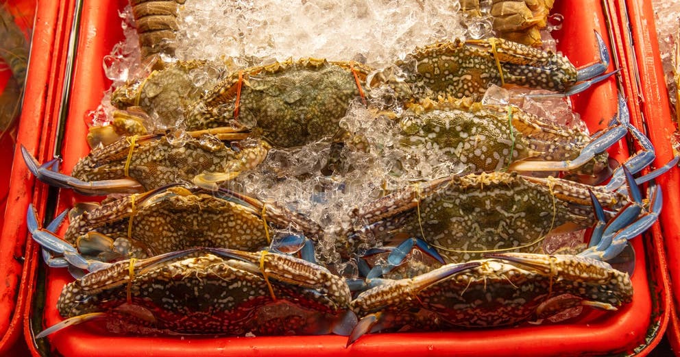 Crabs on the Counter in the Market Stock Photo - Image of produce ...