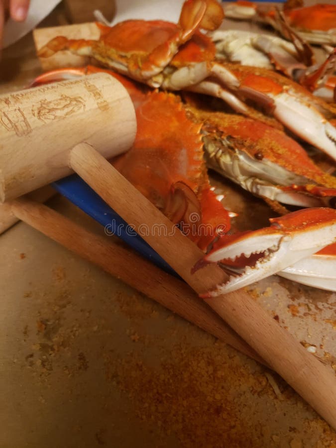 Crabs Delaware Fresh Catch stock photo. Image of fresh - 157274220