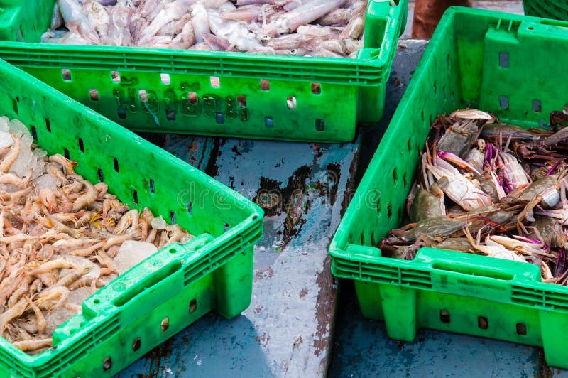 Crabs in the Green Plastic Box at the Fish Market Stock Photo - Image ...