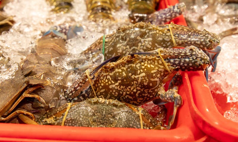 Crabs in ice at the market stock photo. Image of meal - 321564096