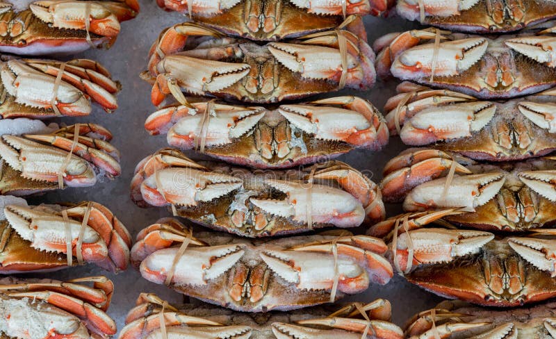 Seattle Crabs stock image. Image of washington, fish, seattle - 201769
