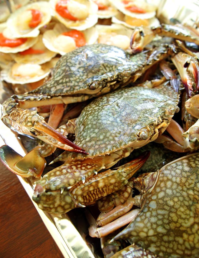 Cooked Dungeness crabs stock image. Image of mobile, shellfish - 28355401