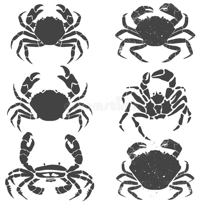 Crabs set stock vector. Illustration of nature, menu - 62377209