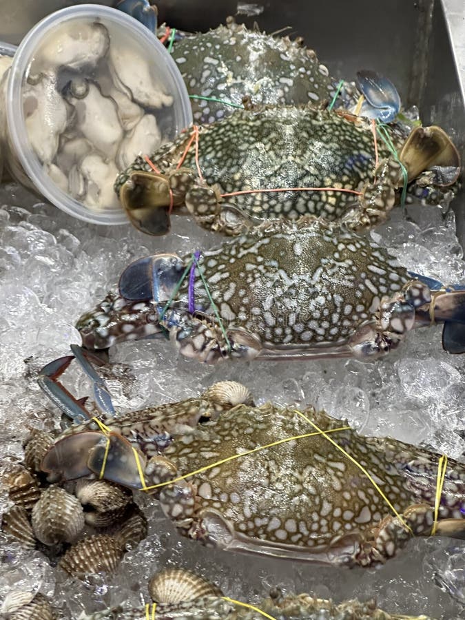 Crabs are Sitting on Ice Right Next To a Bowl Filled with Oysters Stock ...