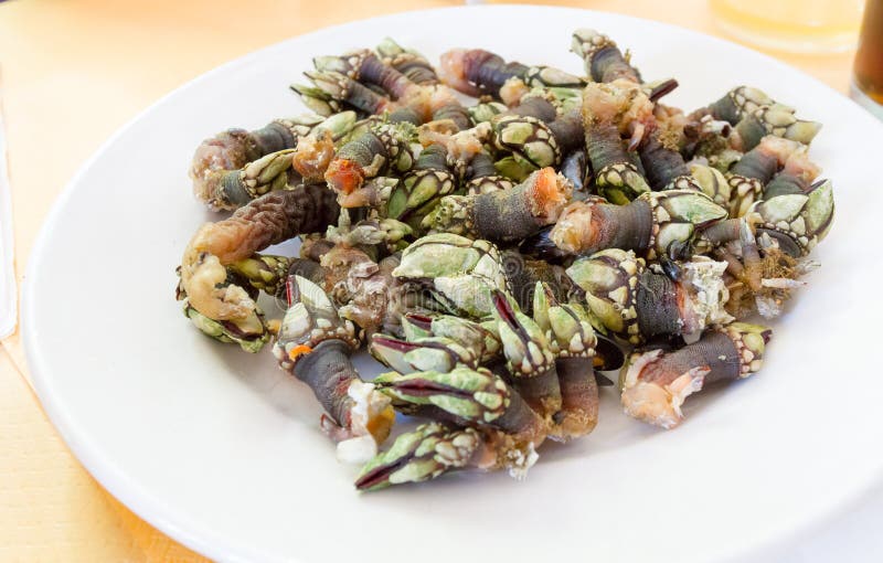 Craca de ganso imagem de stock. Imagem de ingrediente - 38704291