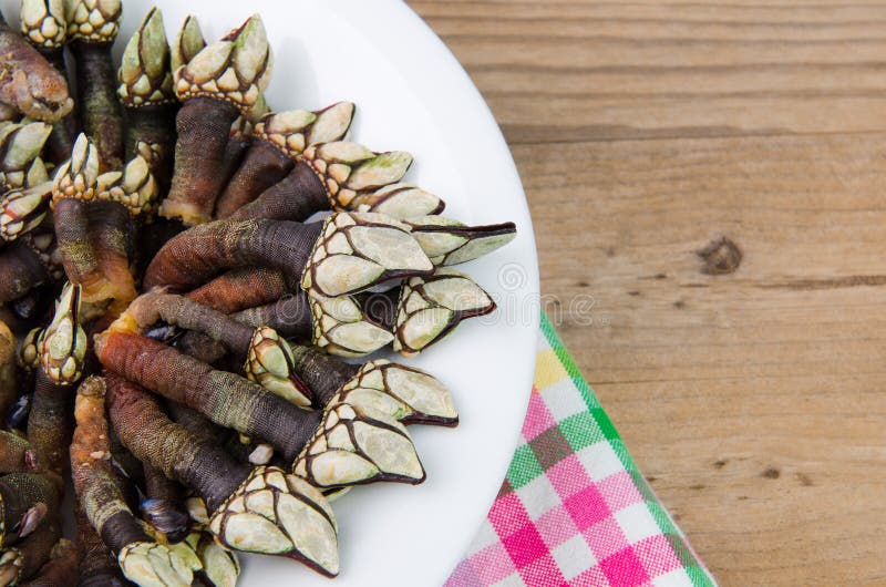 Cracas imagem de stock. Imagem de delicioso, marisco - 37493445