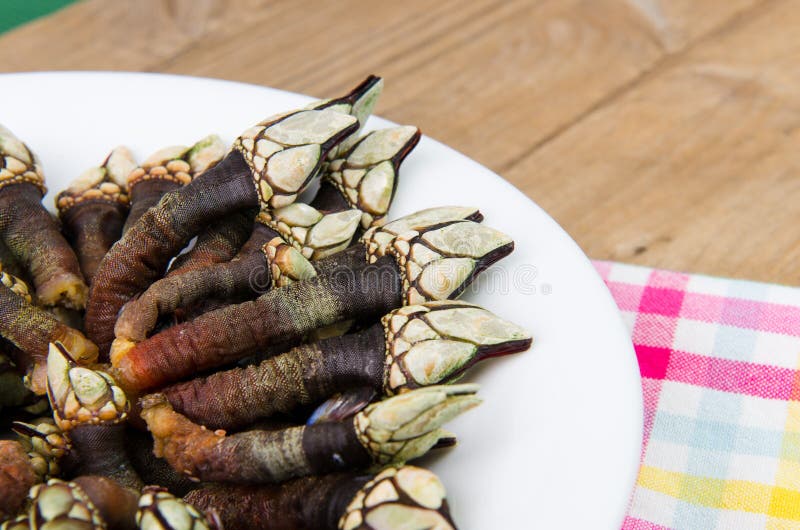 Cracas imagem de stock. Imagem de mercado, coma, gourmet - 37493569
