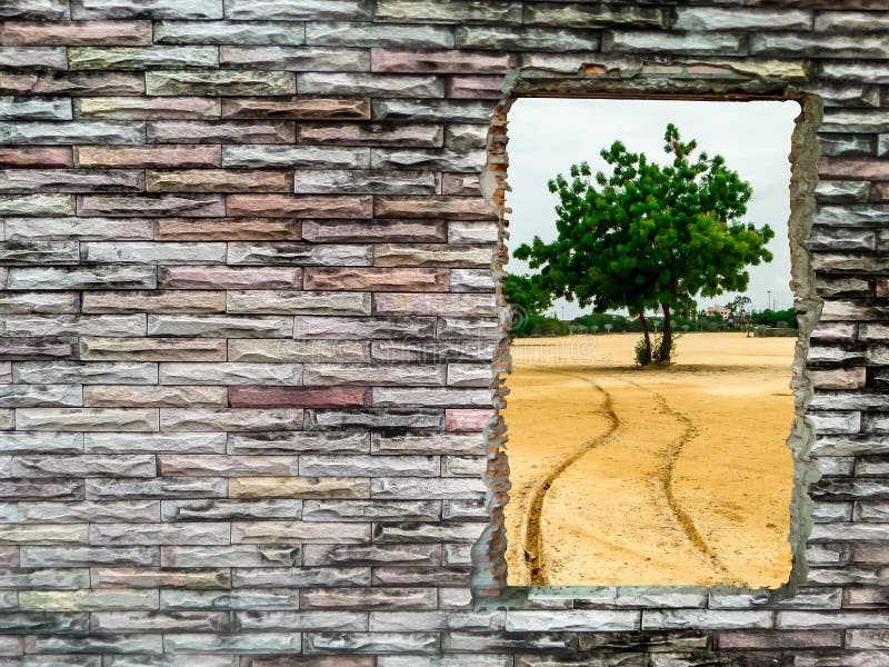Crack Brick Wall and Drag Mark To Green Tree Stock Image - Image of ...