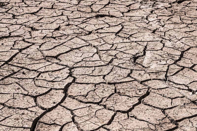 Drought Background, Top View of Dry Earth Soil Texture Stock Image ...