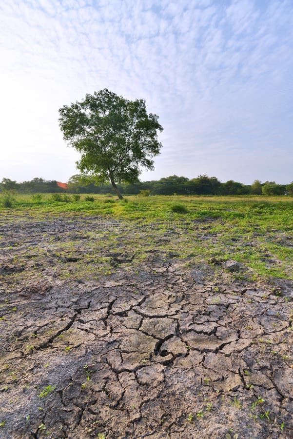 Land Crack stock photo. Image of abstract, closeup, geology - 47166200