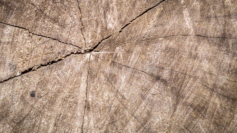 A Crack in the Middle of the Wood Stock Photo - Image of pine, board ...