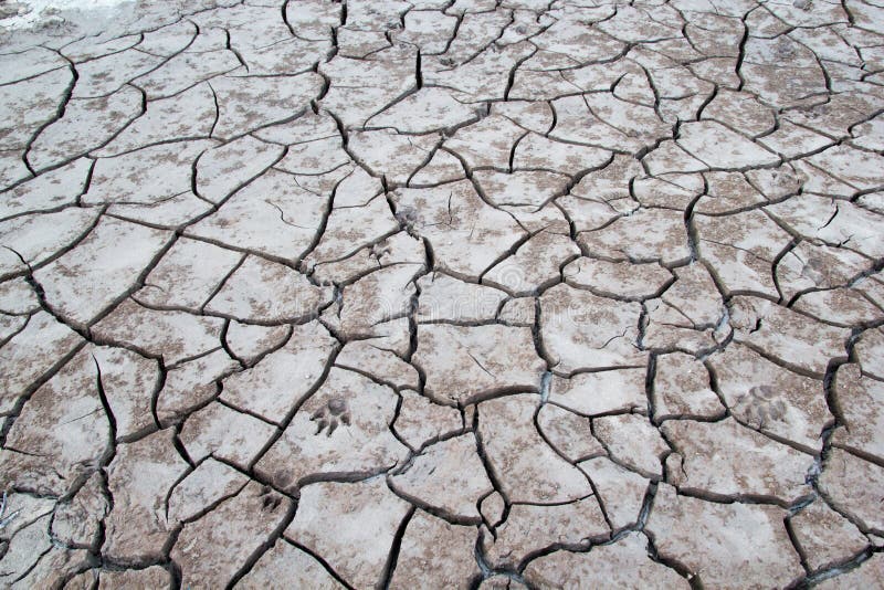 Crack pattern stock image. Image of heat, dust, field - 132327095