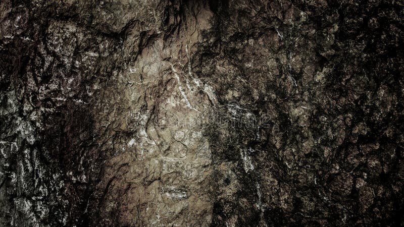 Crack Rock Background Texture in Monotone Black and White , High ...