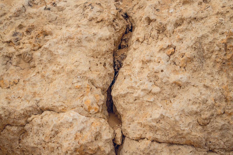 Earthquake fissure stock photo. Image of rock, geology - 2441324