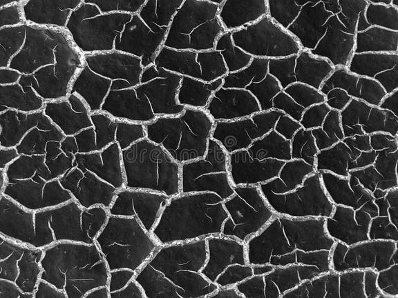 Crack Texture stock image. Image of cracked, broken, ground - 720673