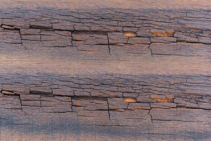 Crack texture on wood stock photo. Image of background - 73377934