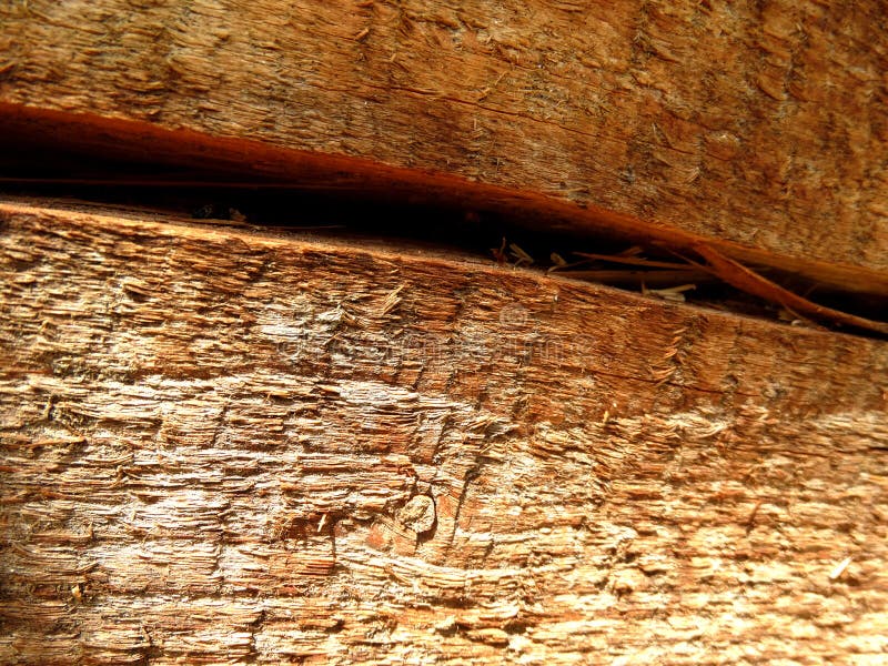 Crack in the wood stock photo. Image of deep, wood, tree - 65081908