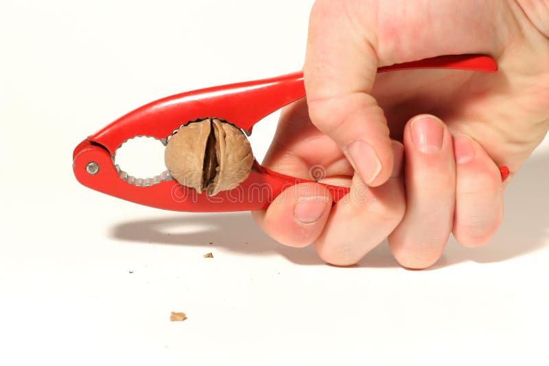 Cracked stock image. Image of broken, shell, solution, success - 312373