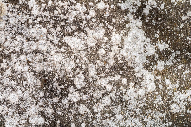 Cracked and Abstract Grunge Texture. Aged Material Surface Backdrop ...