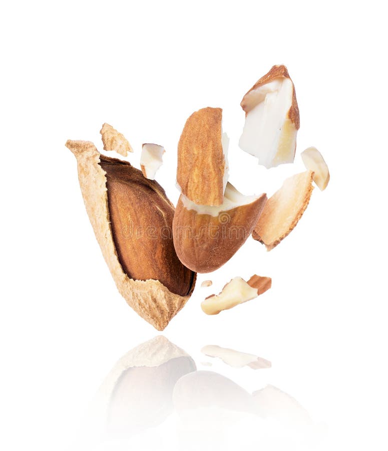 142 Split Almonds Isolated Stock Photos - Free & Royalty-Free Stock ...