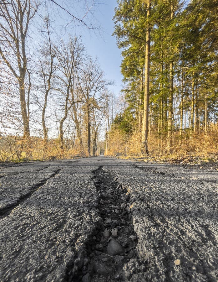Cracked Asphalt on a Walking Path Stock Image - Image of environment ...