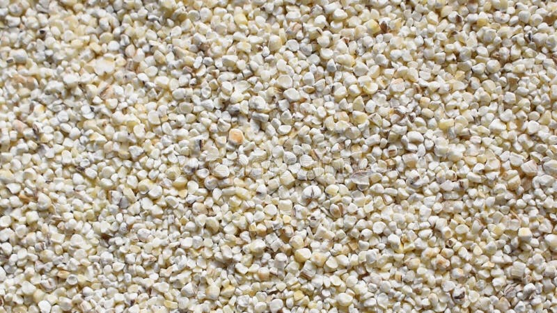 Cracked Barley Cereal Grains Stock Footage - Video of ingredient ...