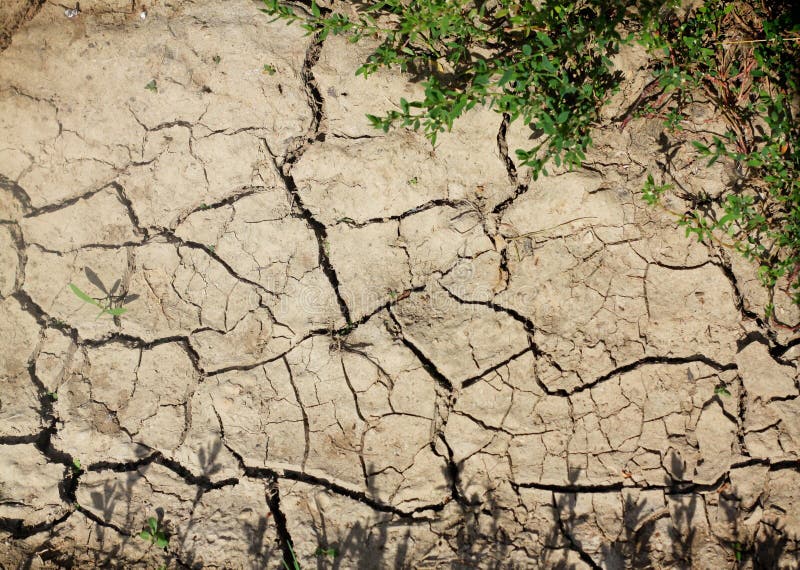 Cracked and barren ground stock photo. Image of drain - 20810436