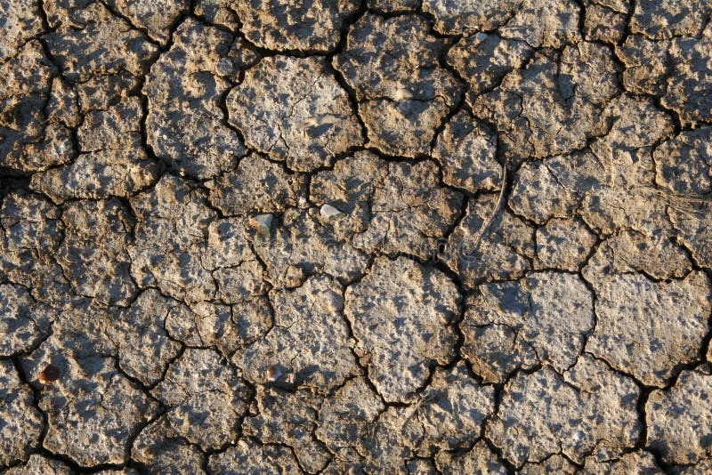 Cracked Barren Land Picture. Image: 3743901