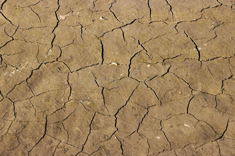 Cracked Bottom of a Dry River Swamp Stock Image - Image of abstract ...