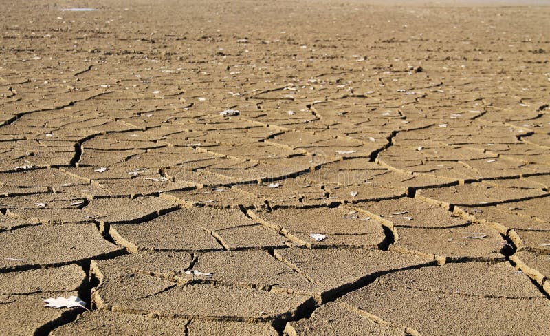 Cracked Bottom on Shore of English Channel Stock Image - Image of ...