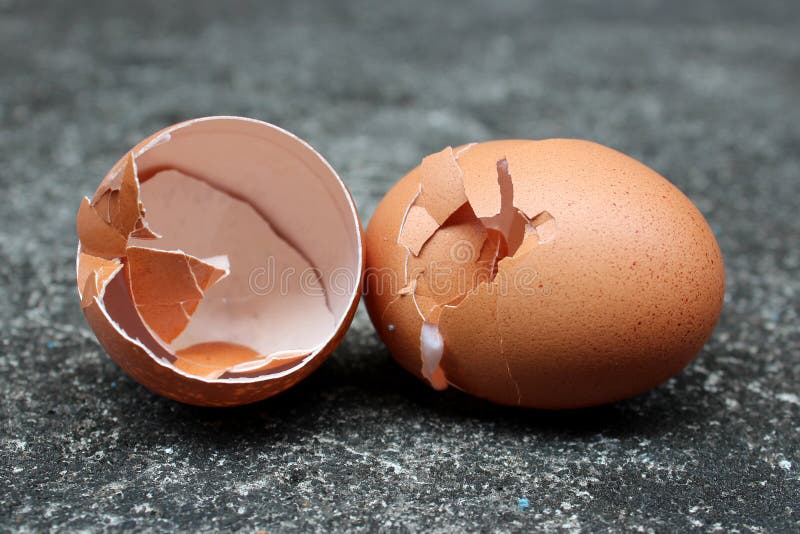 Cracked Brown egg shells stock image. Image of cracked - 2123083