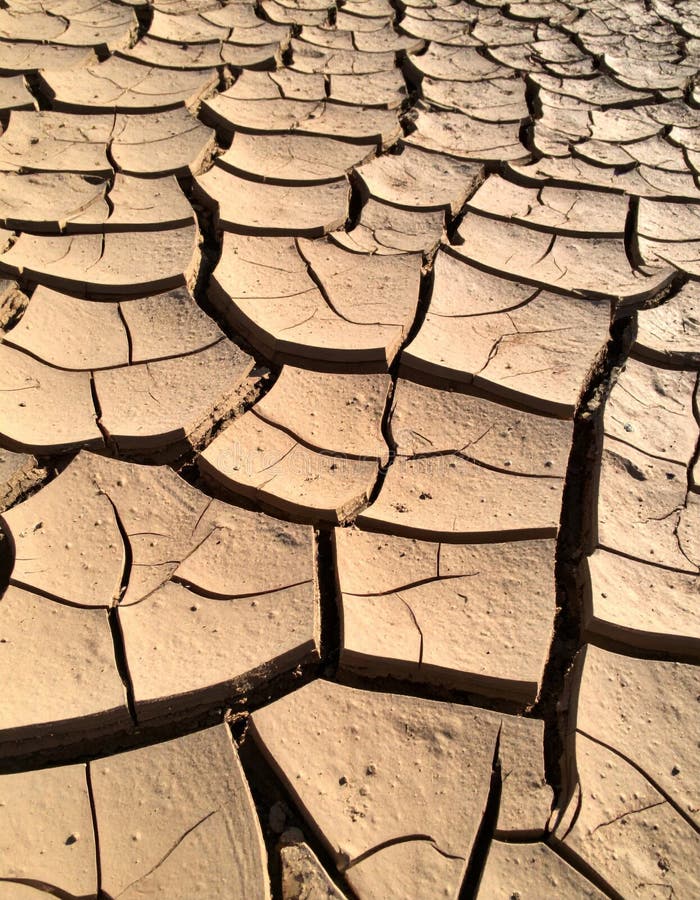 Cracked Brown Earth Texture in Arid Landscape Stock Illustration ...
