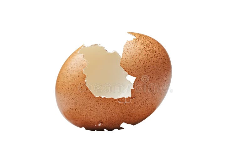 Cracked Brown Egg Shell on Black Background Isolated Close Up Stock ...
